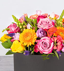 Send Joyful Flowers in the UK | Prestige Flowers Delivery