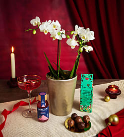 Christmas Flower Delivery | Next Day Flower Delivery | Prestige Flowers