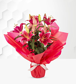 Christmas Flower Delivery | Next Day Flower Delivery | Prestige Flowers