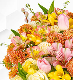 Leeds Florist Prestige Flowers: Exquisite Blooms for Life's Special Moments
