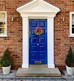 Stunning Christmas Plants | Prestige Flowers | UK Delivery