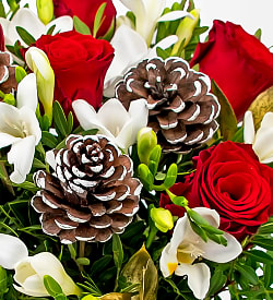 Christmas Flower Delivery | Next Day | Prestige Flowers UK