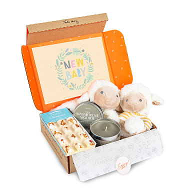 New baby gift delivery store