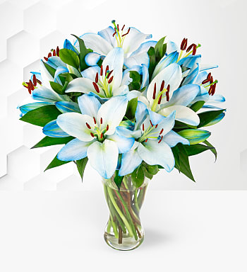 Lilies delivery store