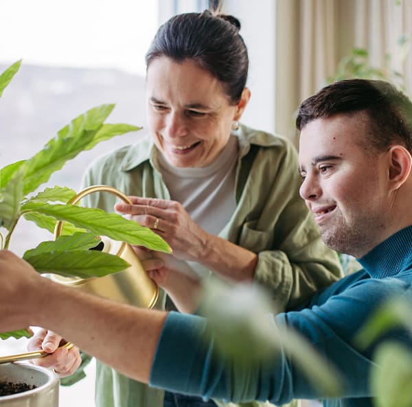 Caring For Plants | Prestige Flowers