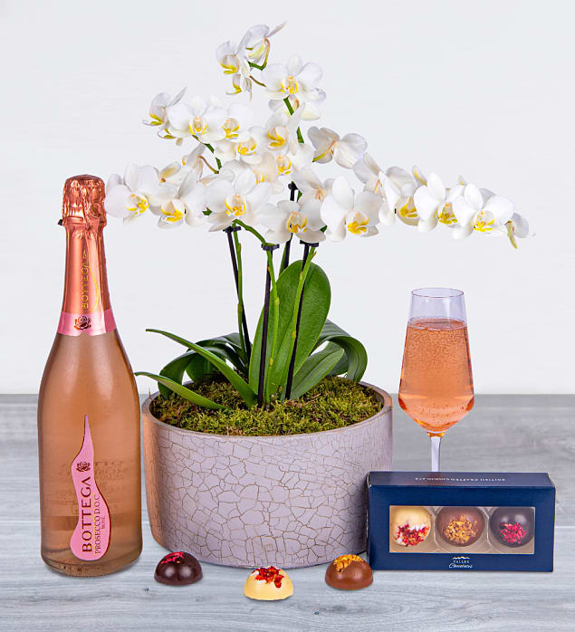 Deluxe Orchid Gift | Prestige Flowers