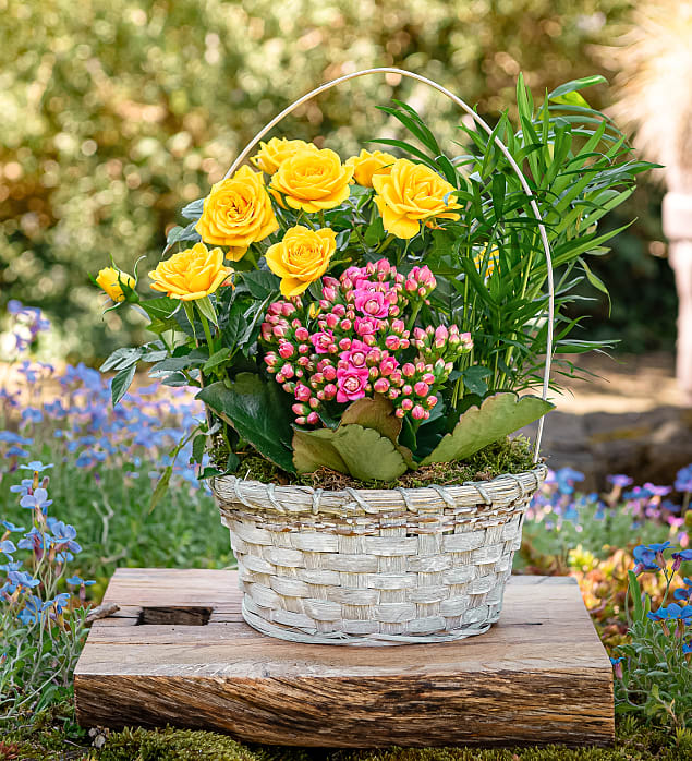 Basket in Bloom | Prestige Flowers