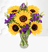Sunflower Splendor | Prestige Flowers